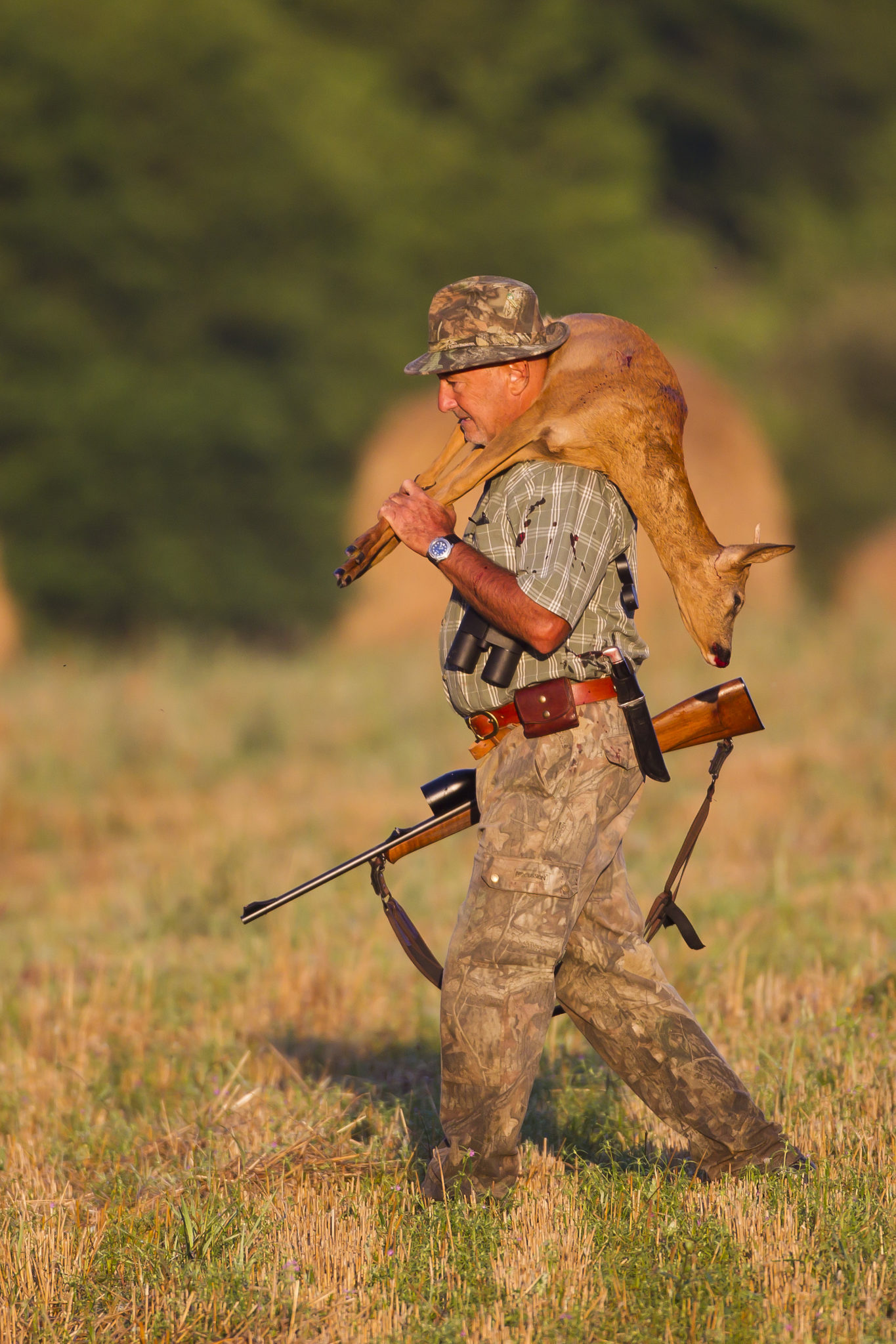 Pratiques et modes de chasses dans le Doubs - FDC 25
