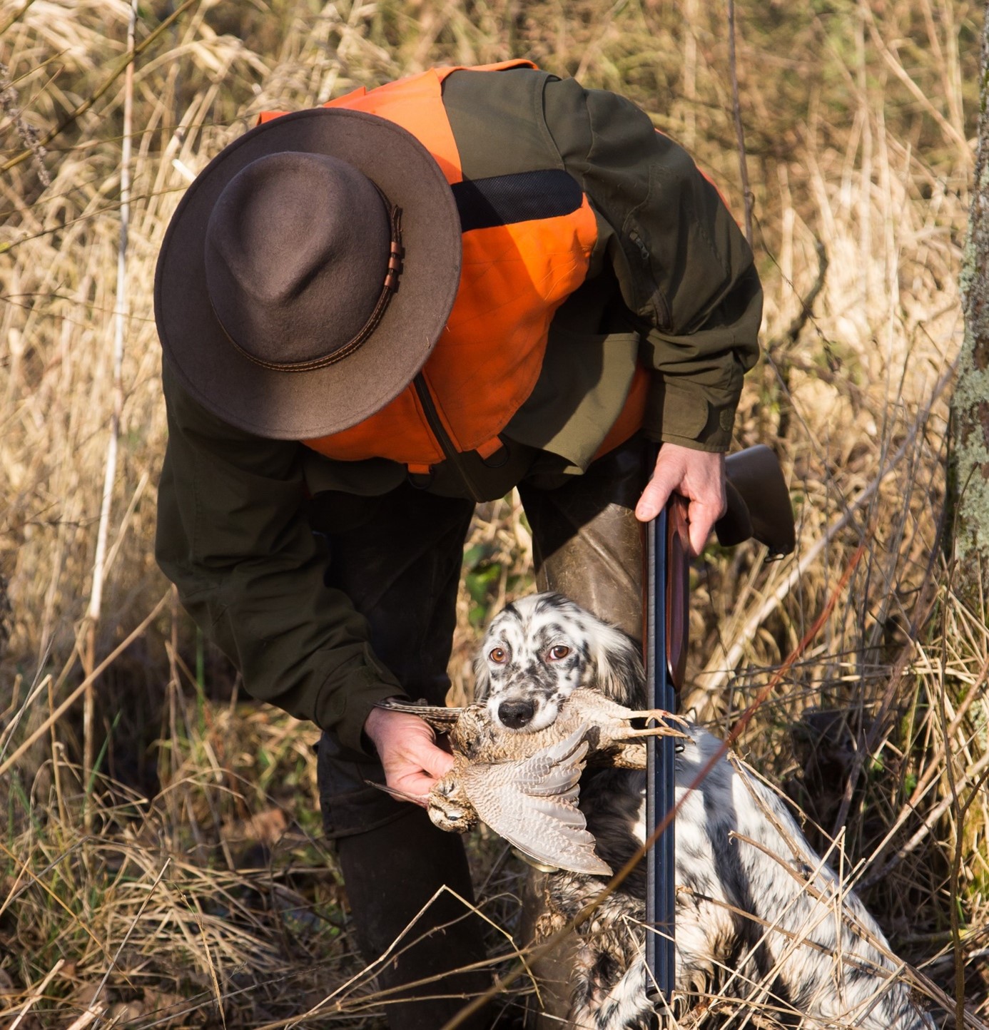 Comprendre la chasse - FDC 25